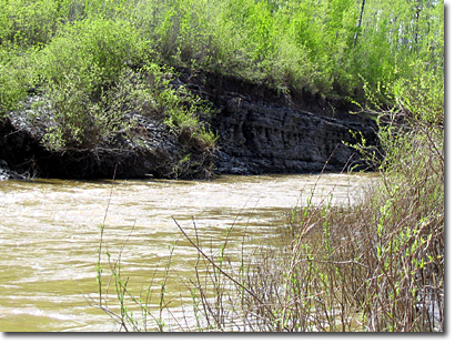 Virtual Saskatchewan - One Big Croc